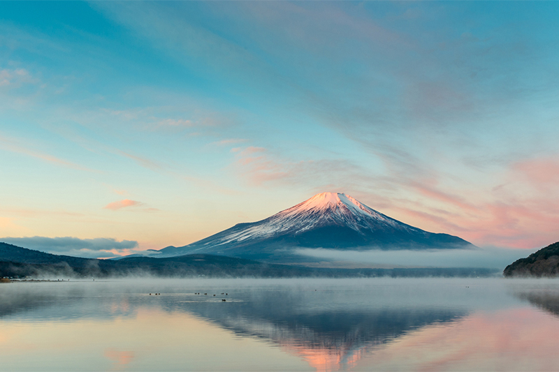 What are downgrade and Down-edition rights for Windows Server 2019?